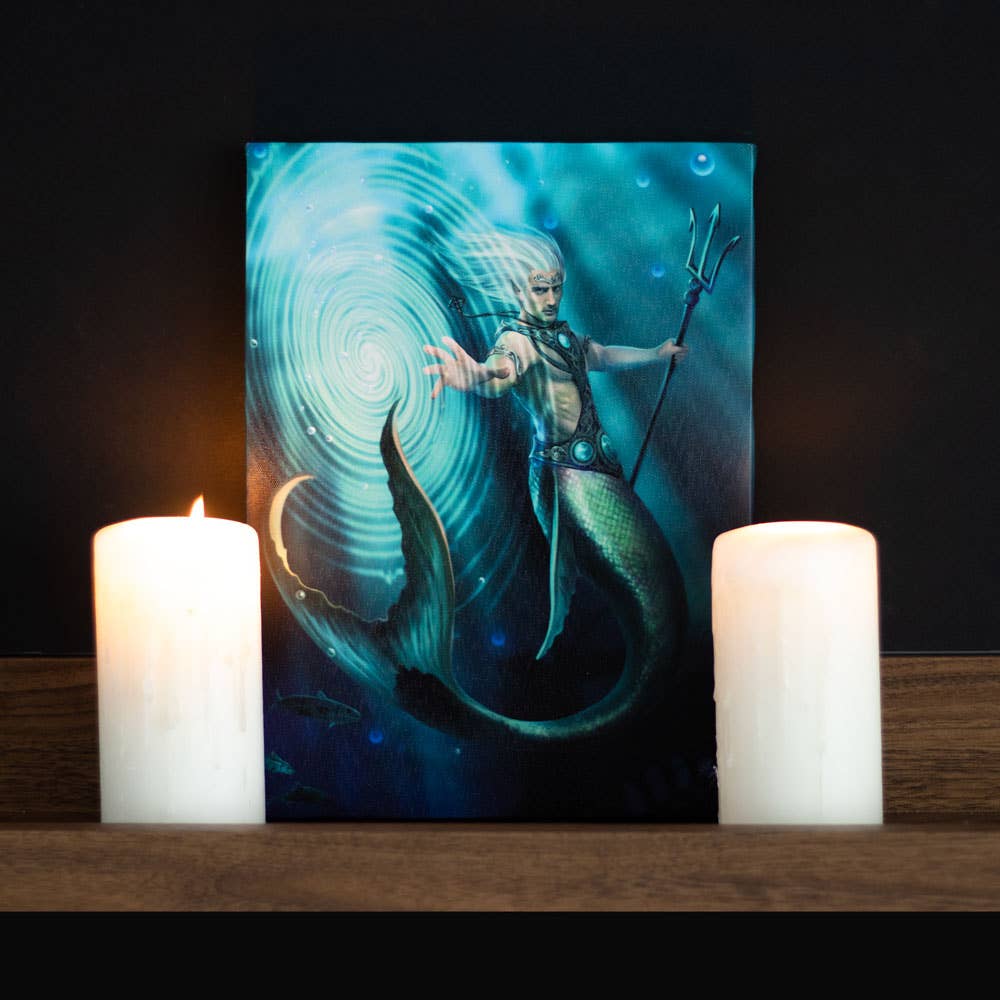 Anne Stokes Water Element Wizard Canvas Plaque – The Enchanted Bazaar